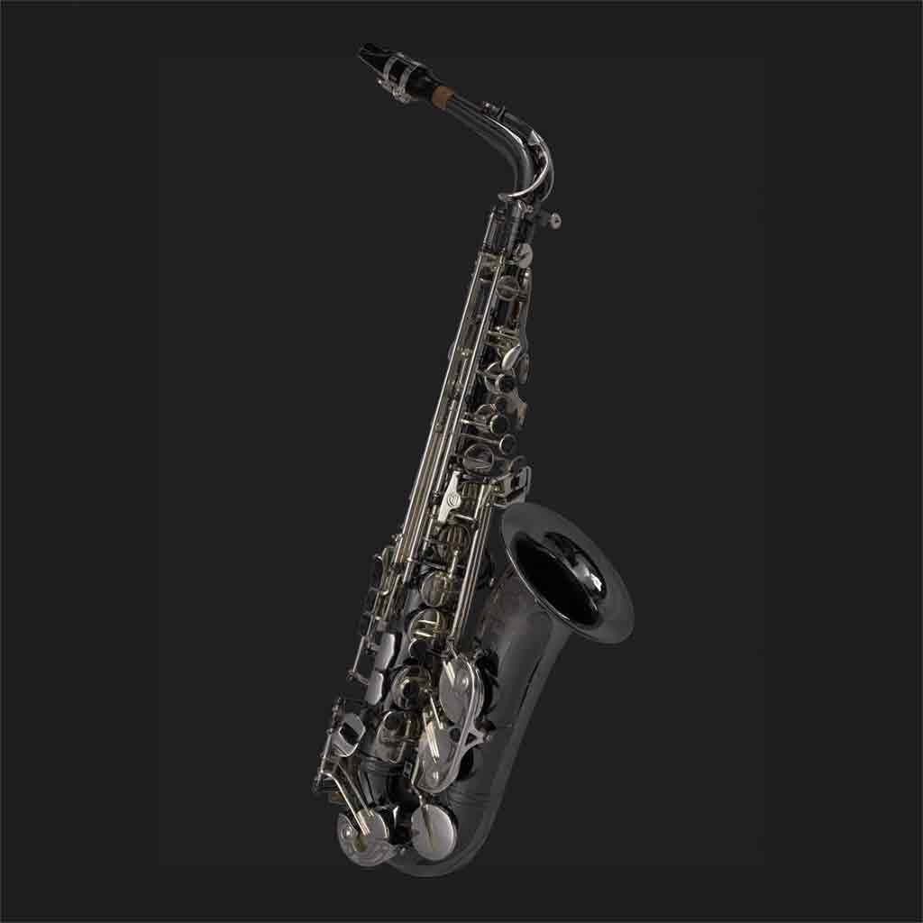 Pre-Owned Cannonball Professional Alto Sax A5-BS Big Bell Stone Series ...
