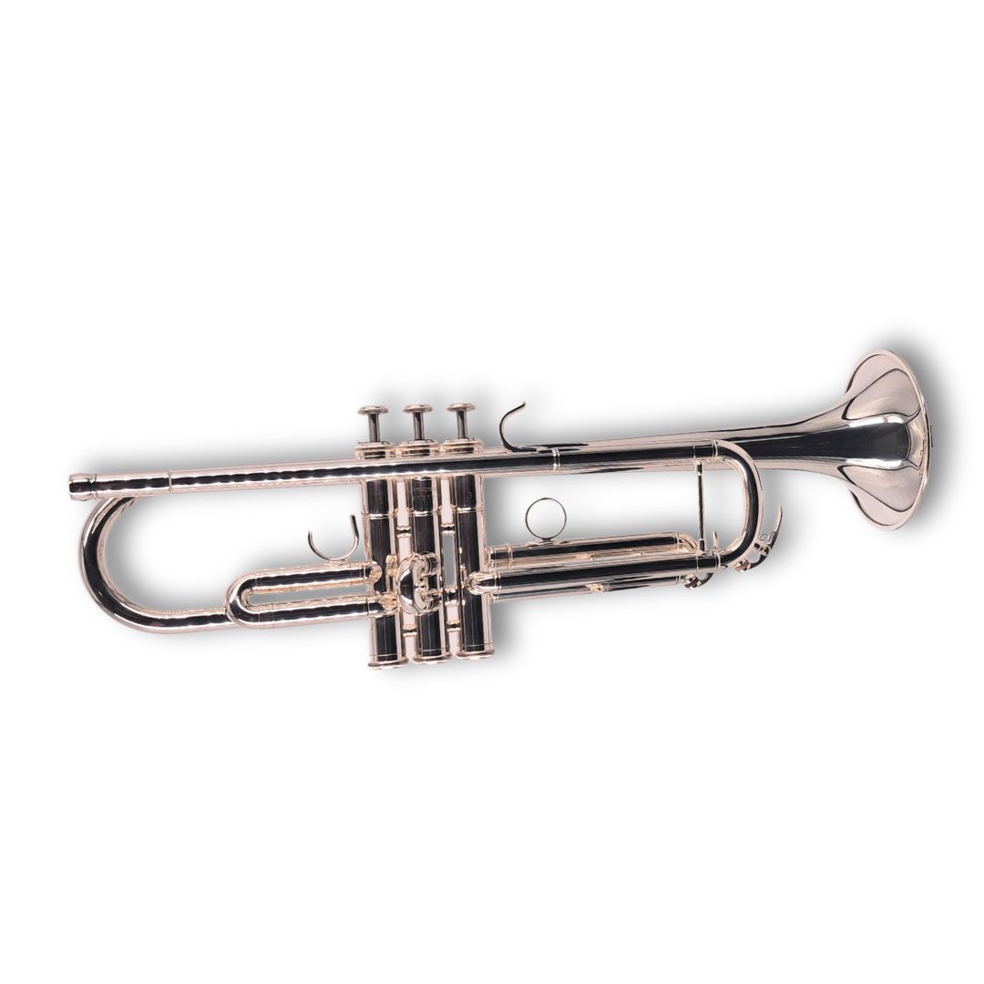 Andy's Music - Musical Instrument Sales, Service, Lessons, Rentals